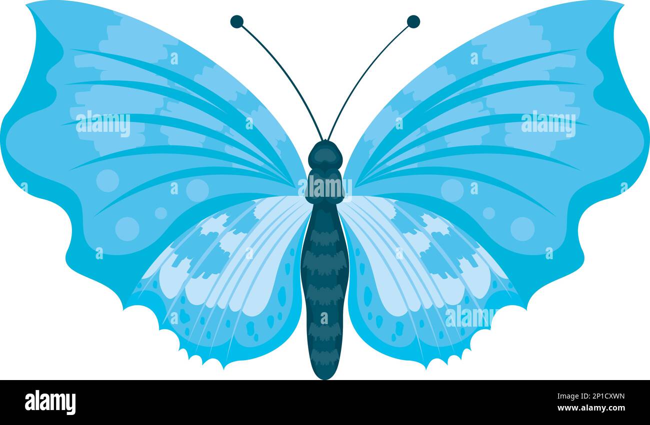 light blue butterfly insect Stock Vector Image & Art - Alamy