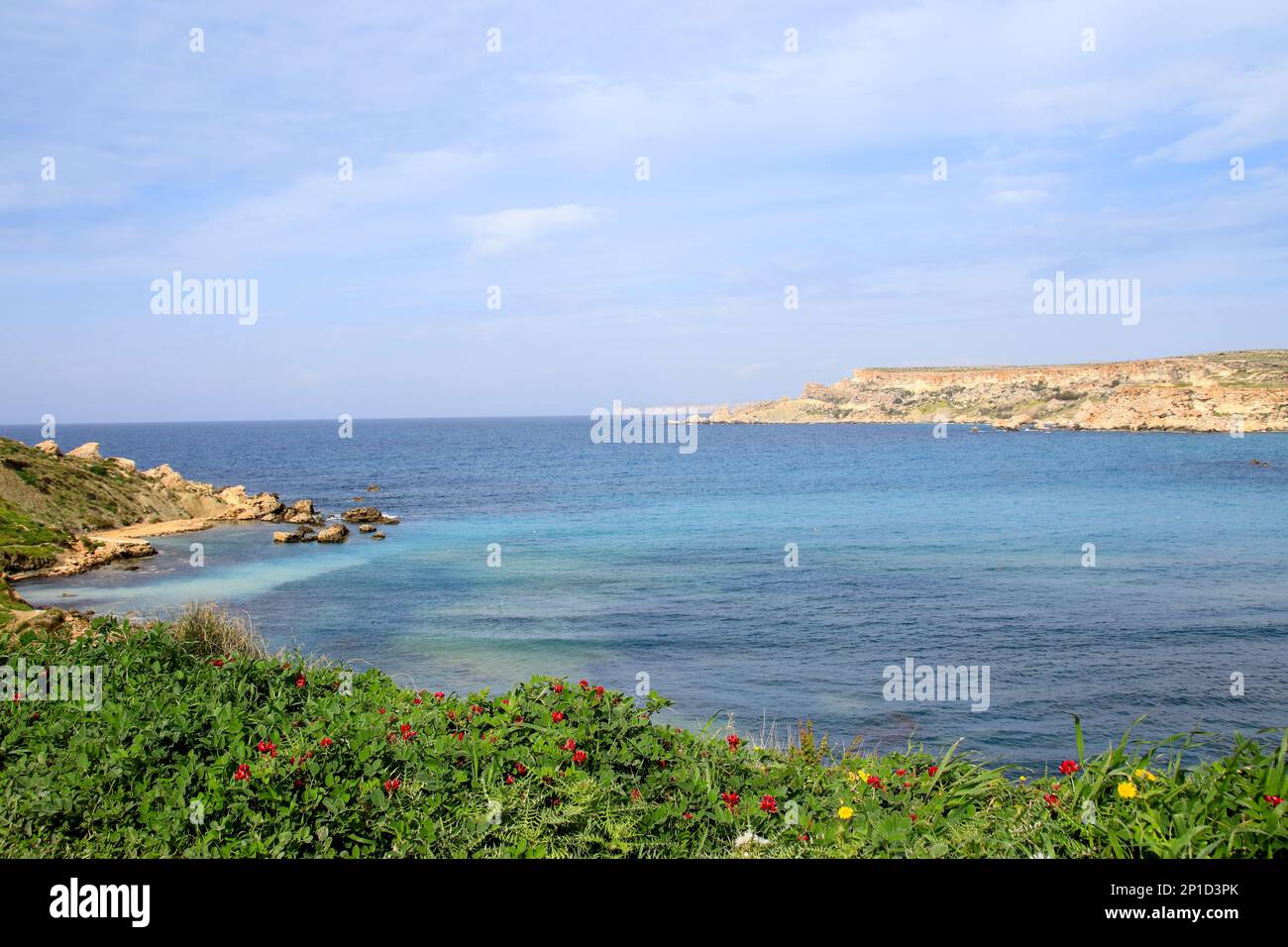 Spring flowers in malta hi-res stock photography and images - Alamy