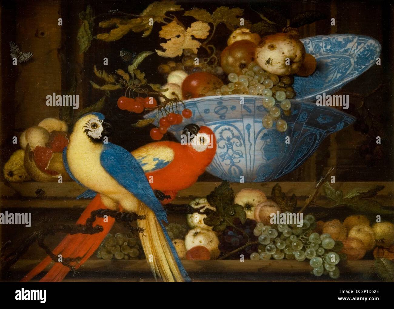 Arts parrots hi-res stock photography and images - Alamy