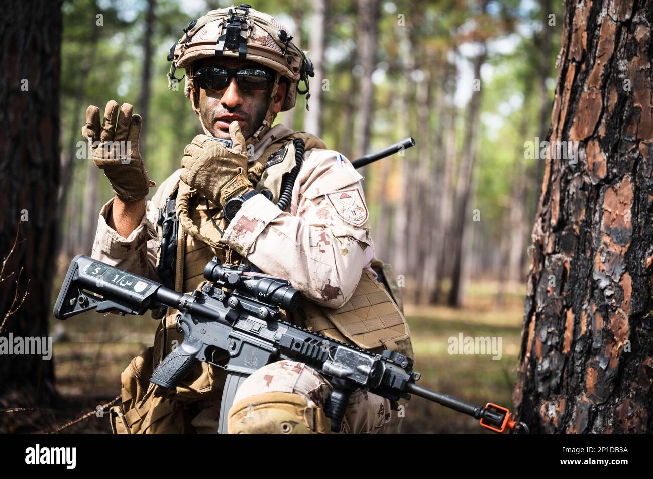 A United Arab Emirates 11th Mountain Battalion soldier issues ...