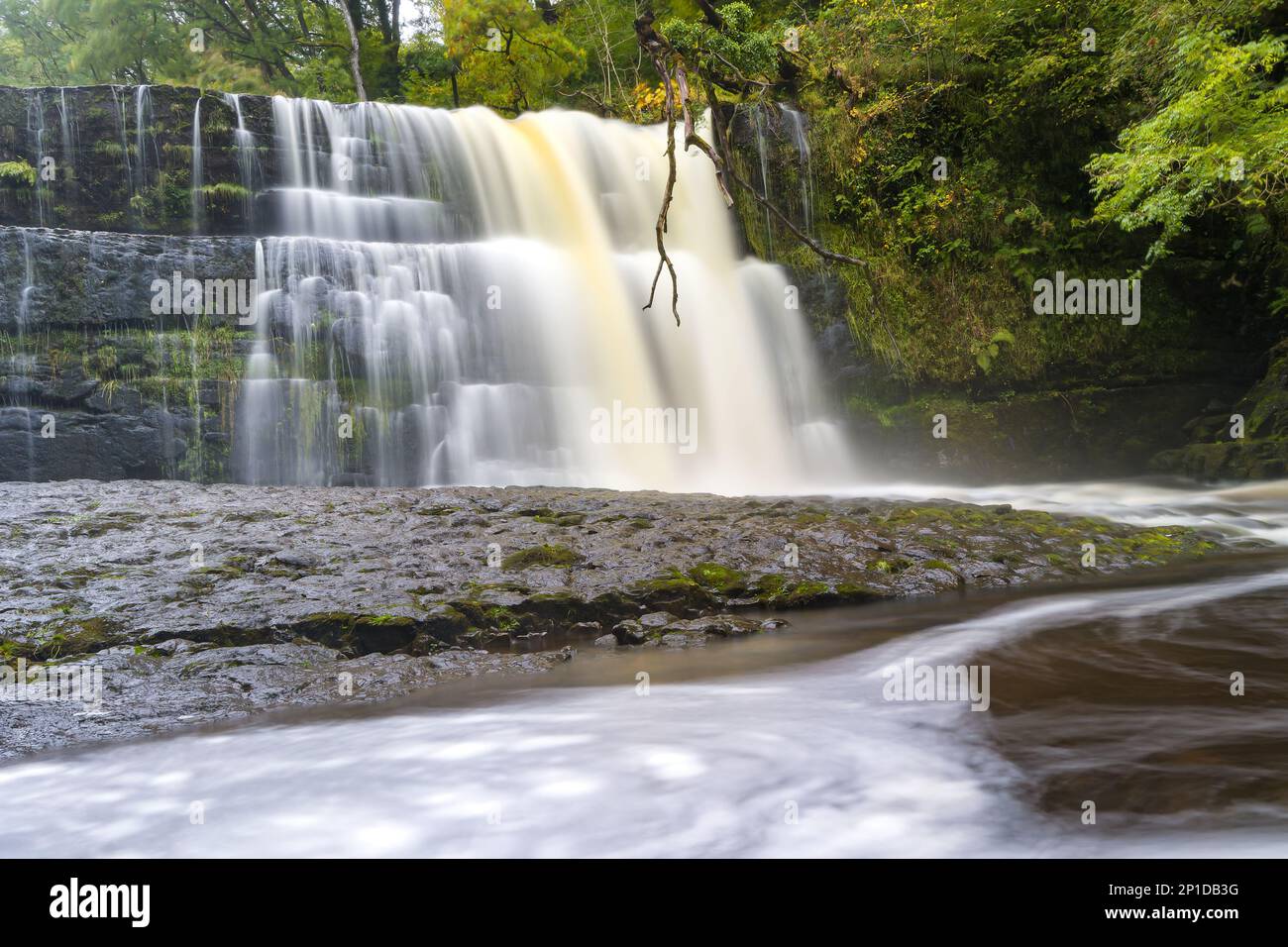 Spectacular waterfall surrounded by trees at Waterfall Country, Brecon ...