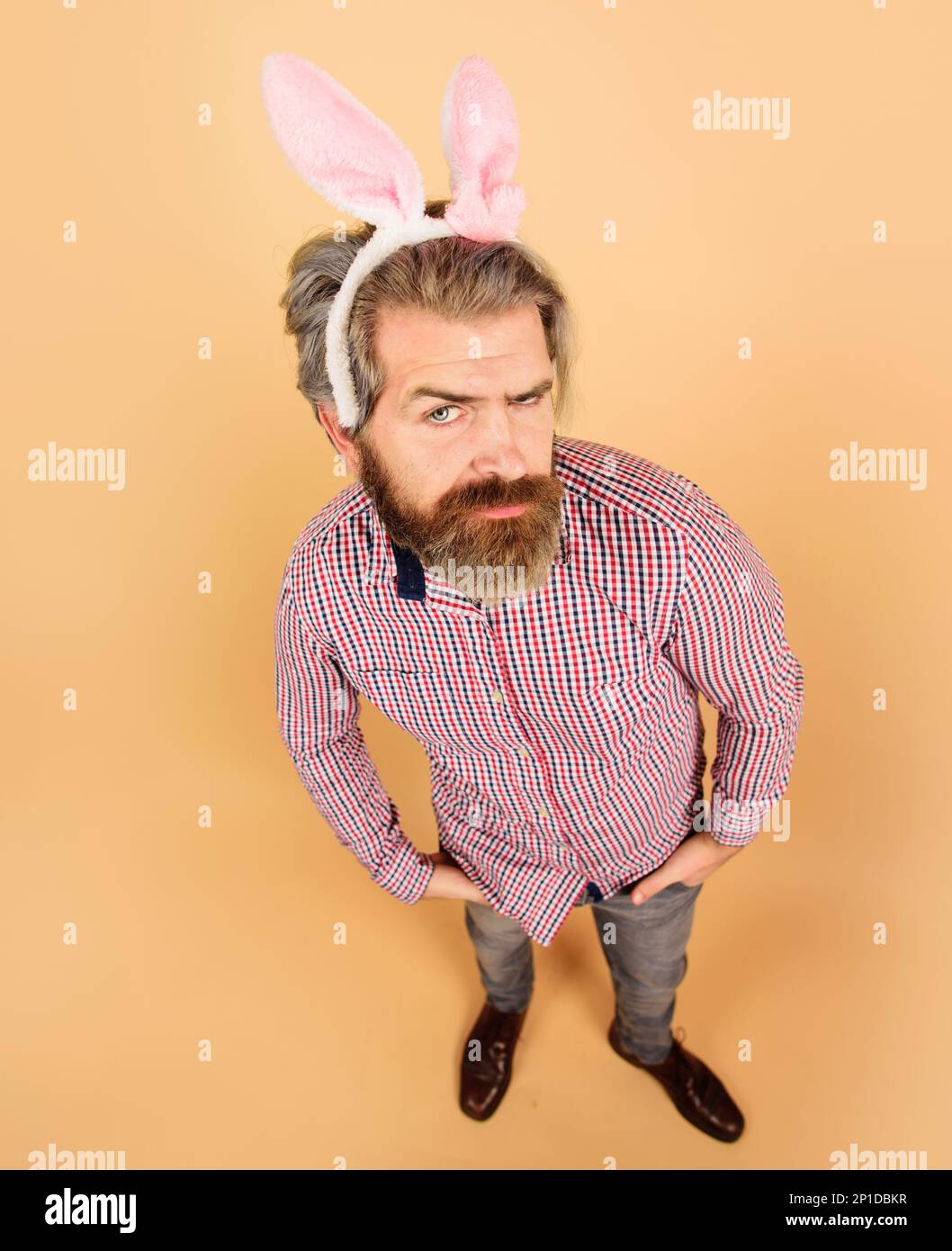 Easter man. Bearded guy in bunny ears preparation for Easter. Bunny man ...