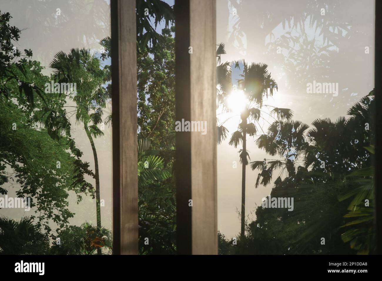 Open windows toward tropical garden during sunny afternoon Stock Photo ...