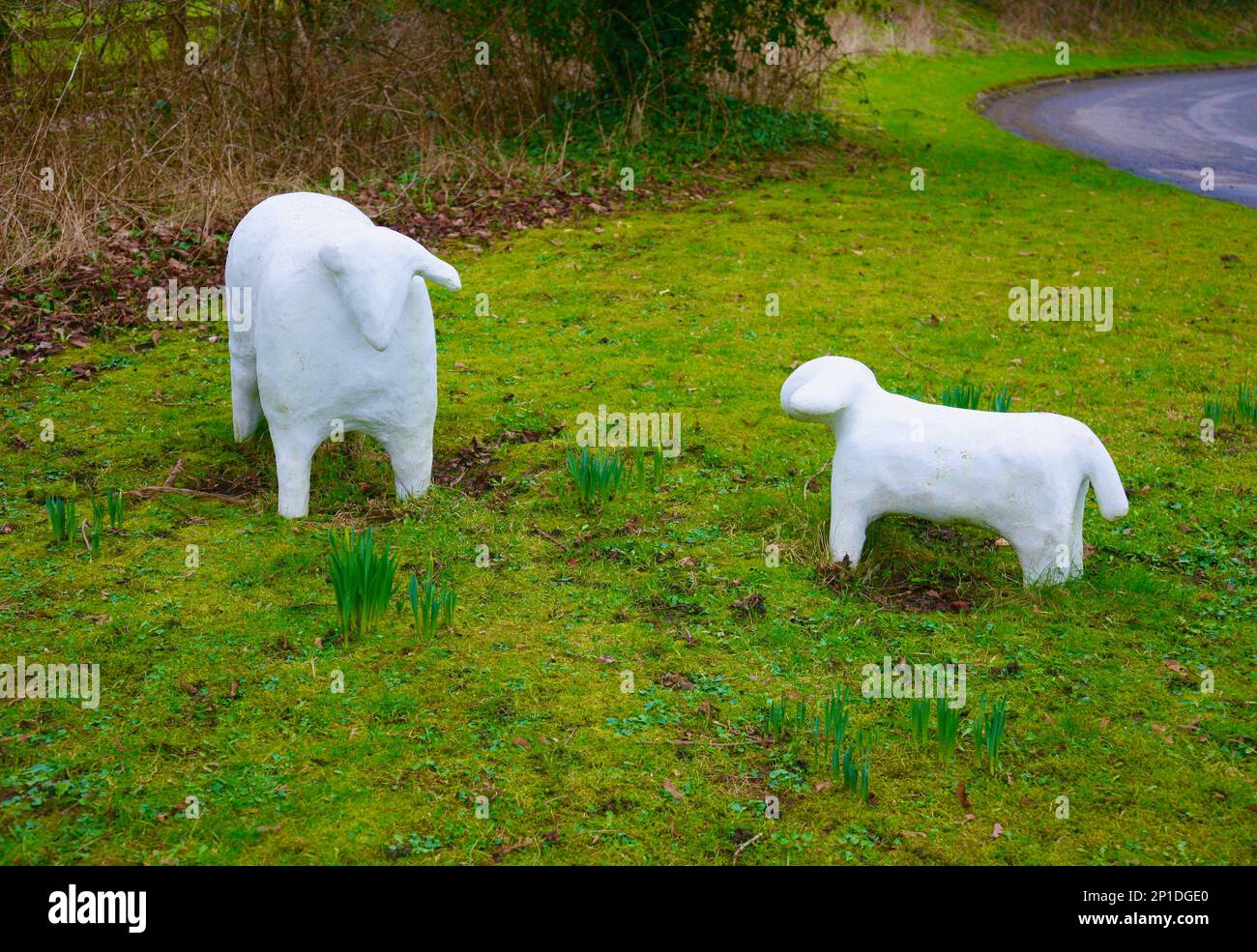 Two very static sheep at the entrance to the village, Worston ...