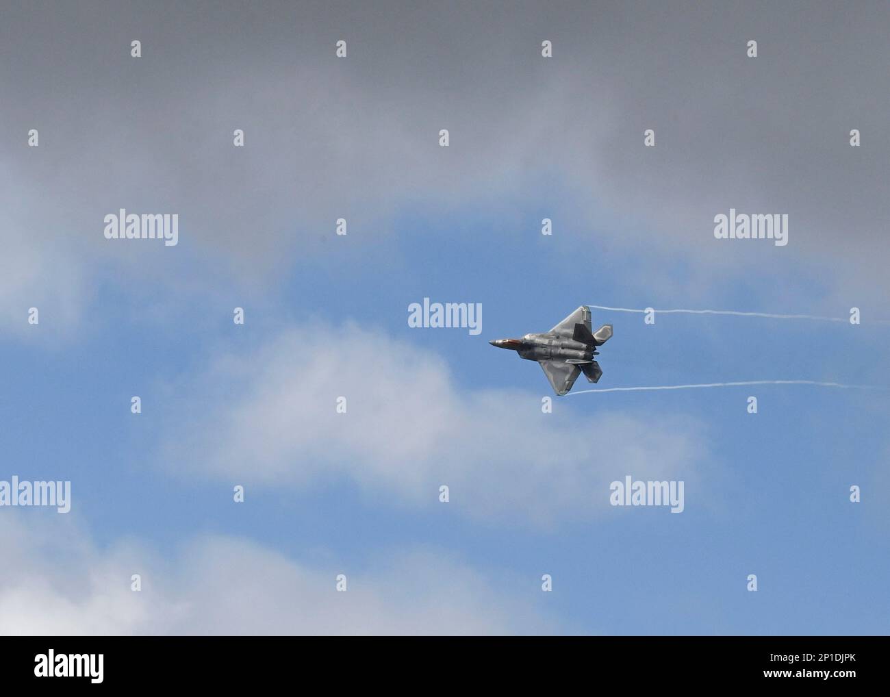 Split tail hi-res stock photography and images - Alamy