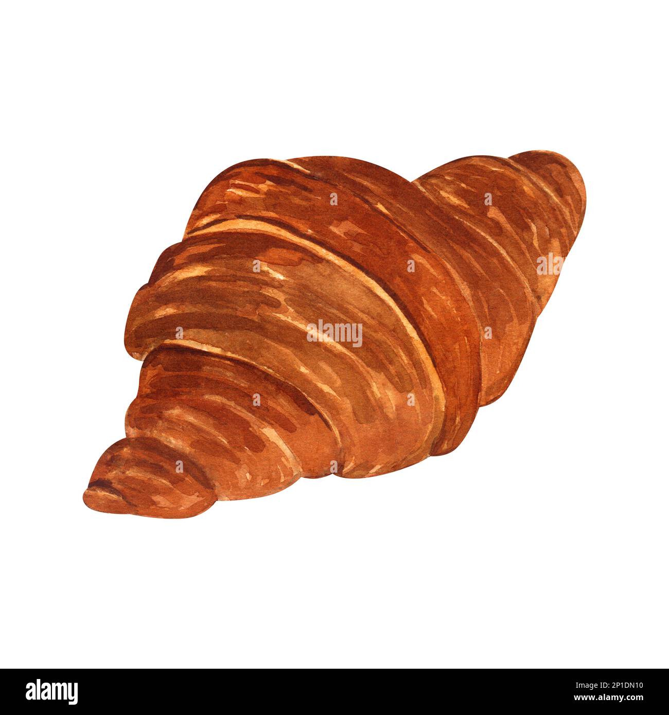 French Croissant Drawing