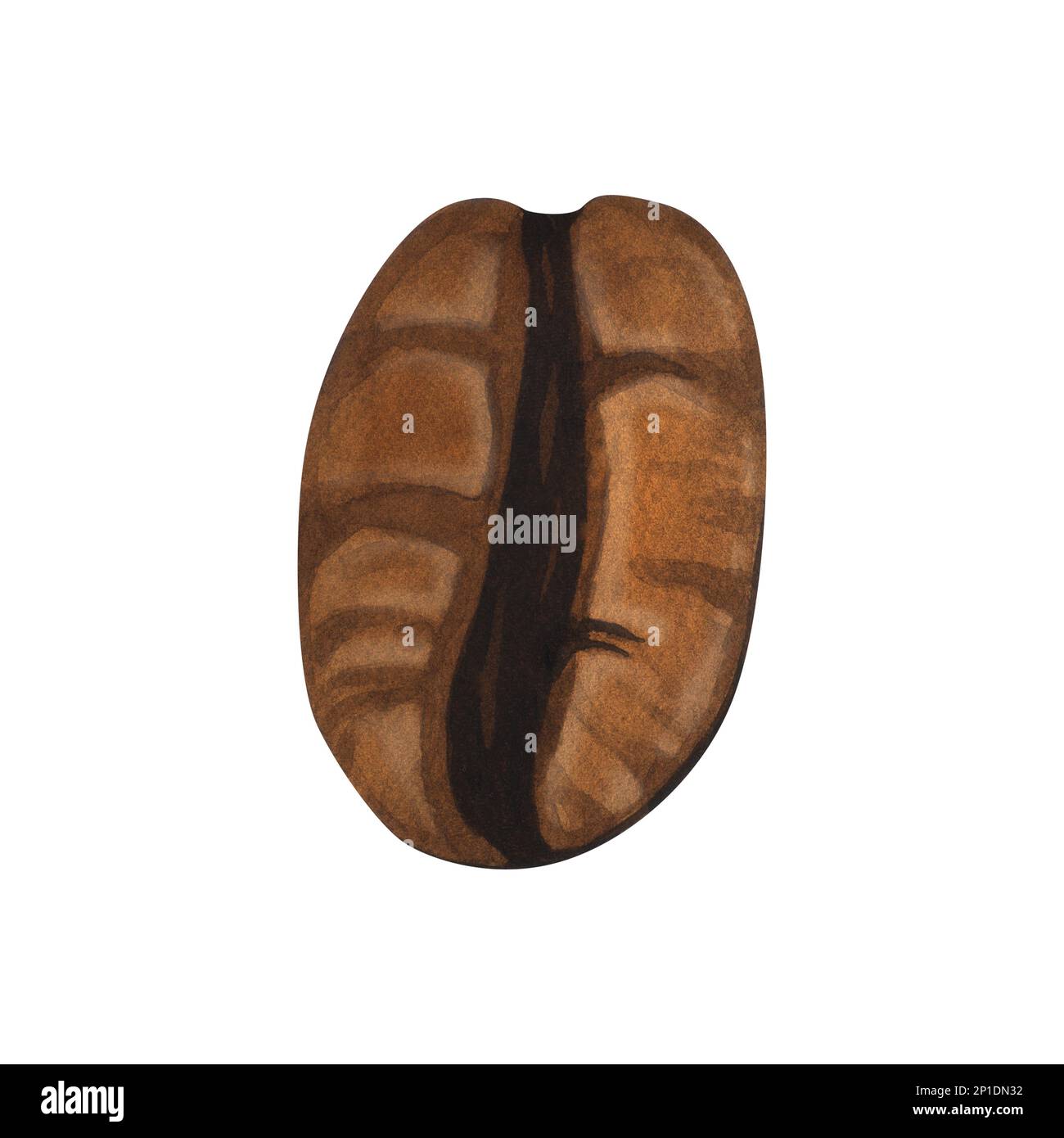 Watercolor fresh roasted brown coffee beans. Natural hand-drawn ...