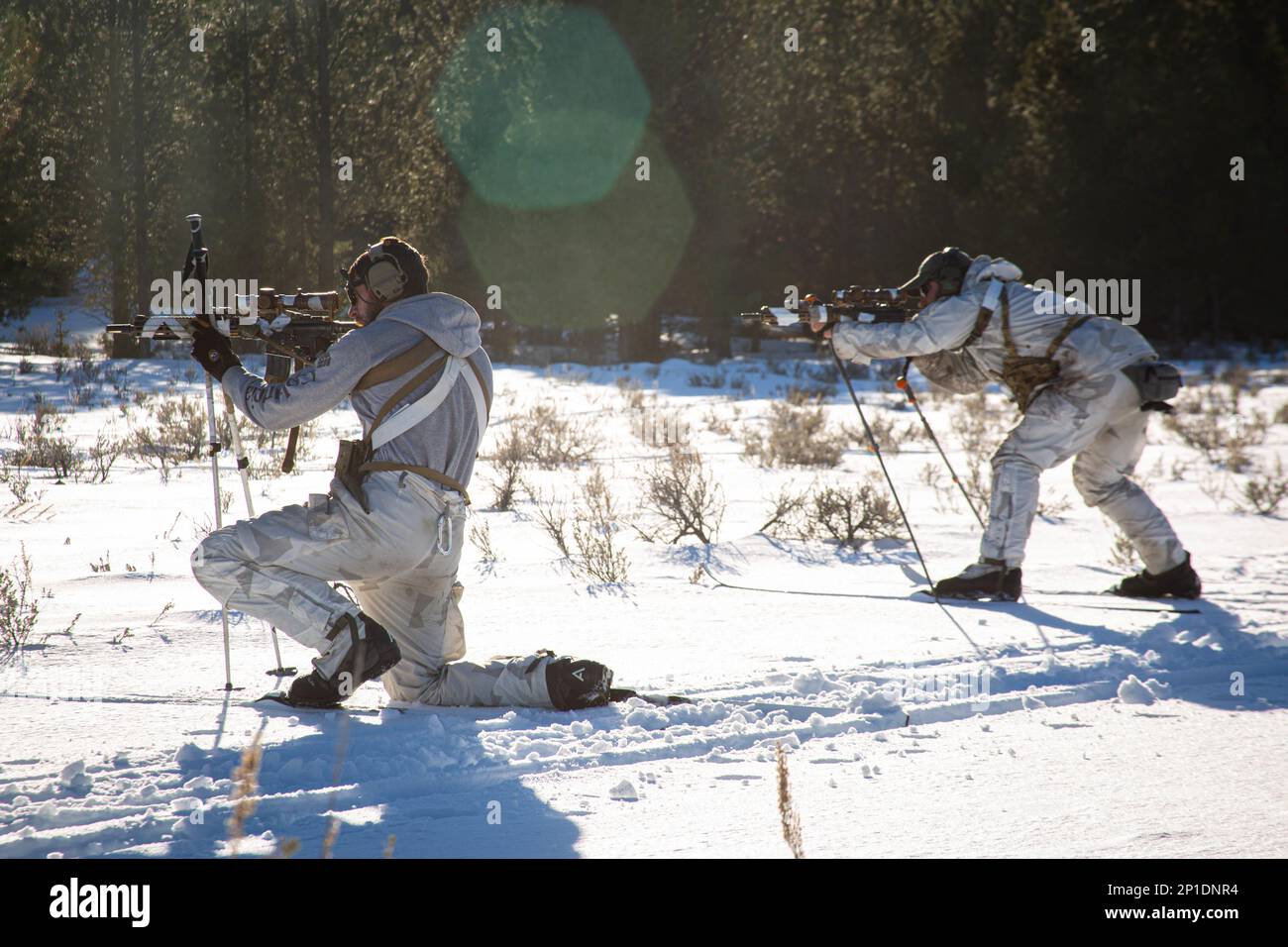 10th Special Forces Group (Airborne) Special Forces perform ambush ...