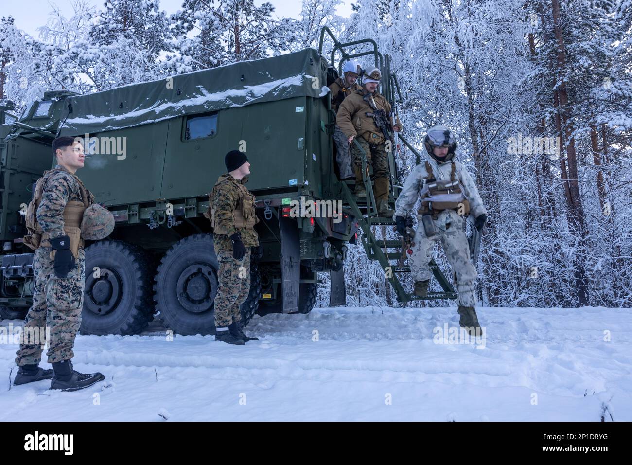 U.S. Marines with 2d Marine Division, dismount from a Medium Tactical ...