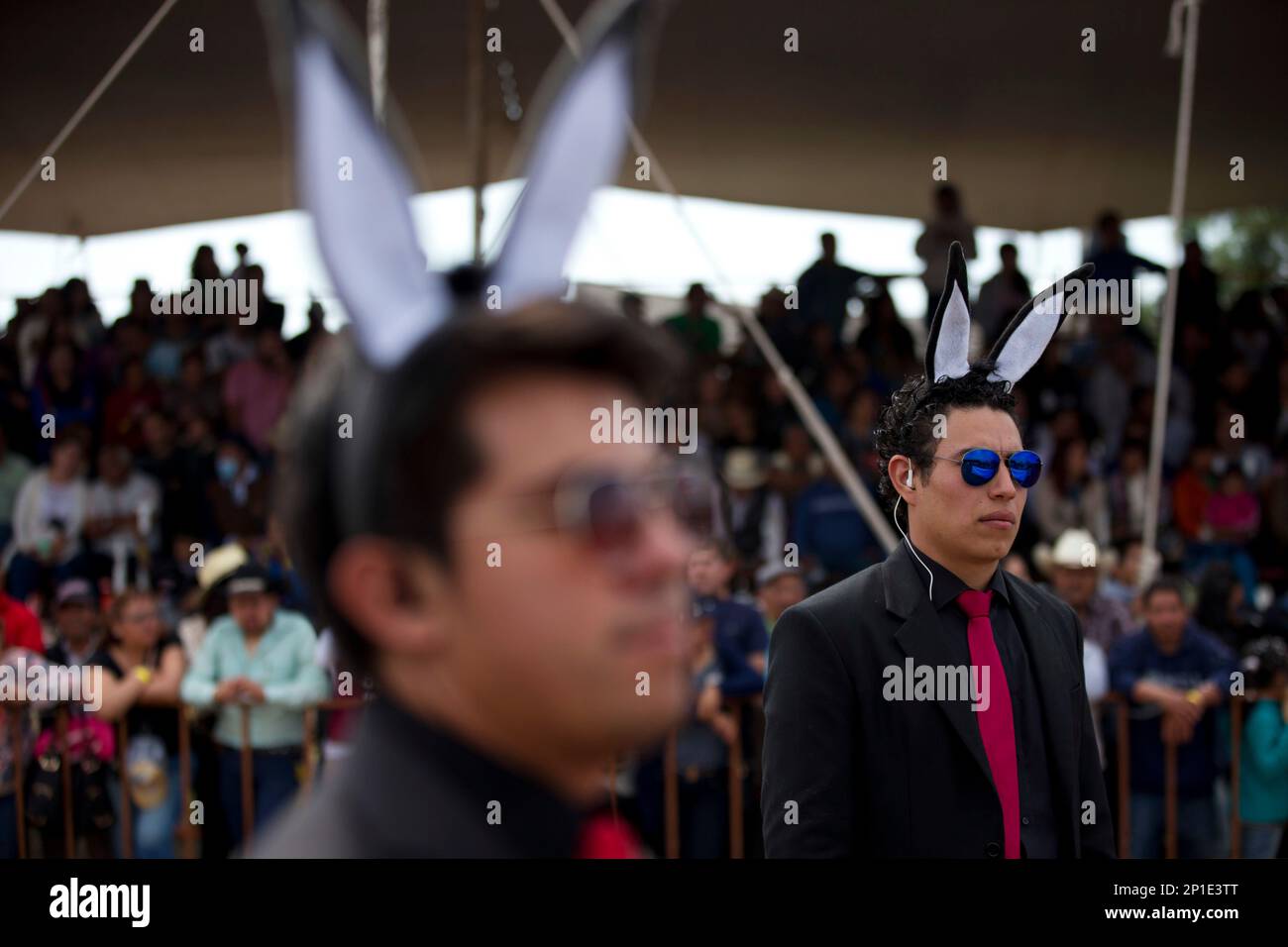 In this May 1, 2016 photo, men wearing donkey ears and costumed as part ...