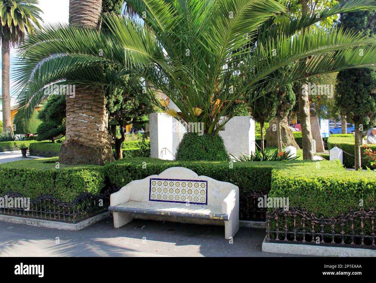 Duo of palm trees hi-res stock photography and images - Alamy