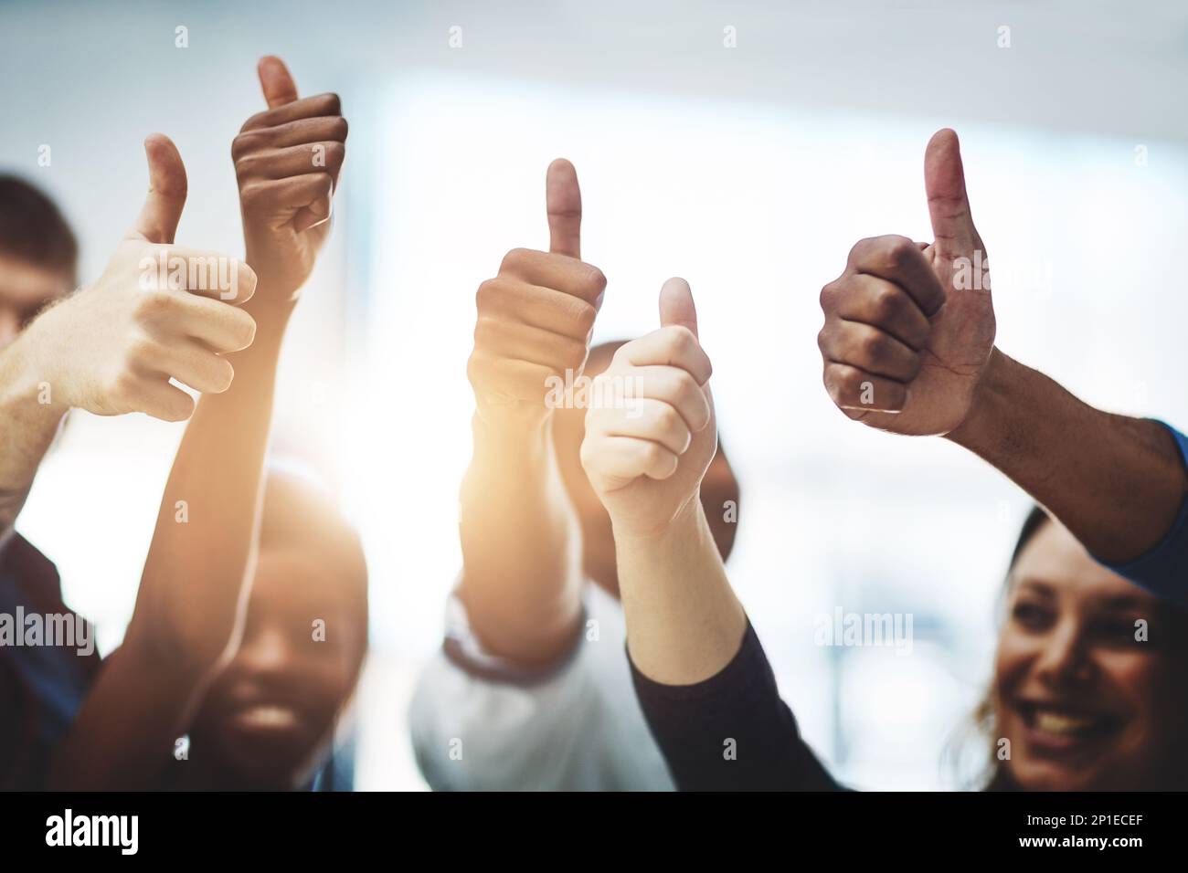 Bravo on your business accomplishment. Cropped shot of a team of ...