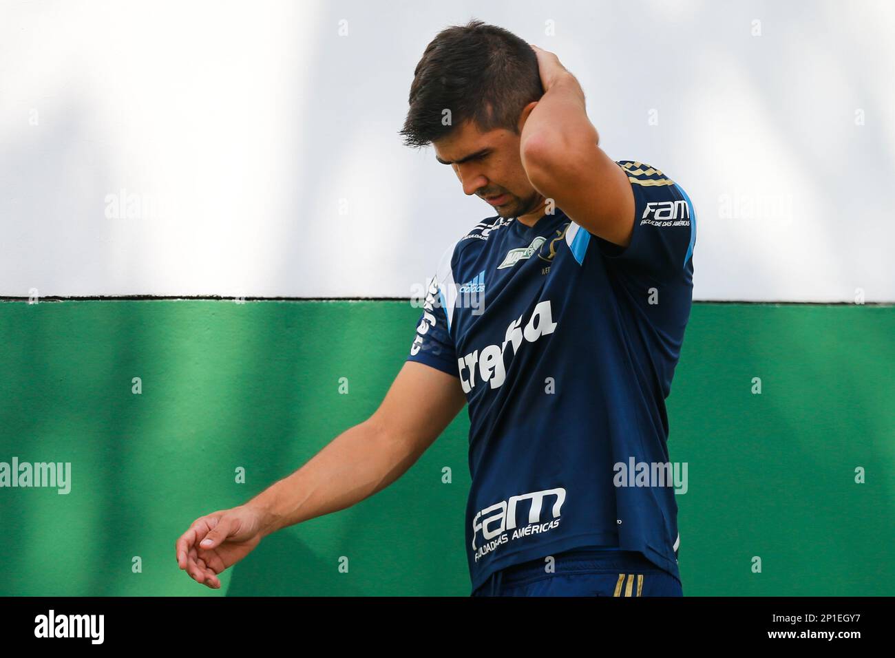 SAO PAULO - SP - 28/04/2016 - TREINO DO PALMEIRAS - Leandro Almeida durante treino do Palmeiras ...