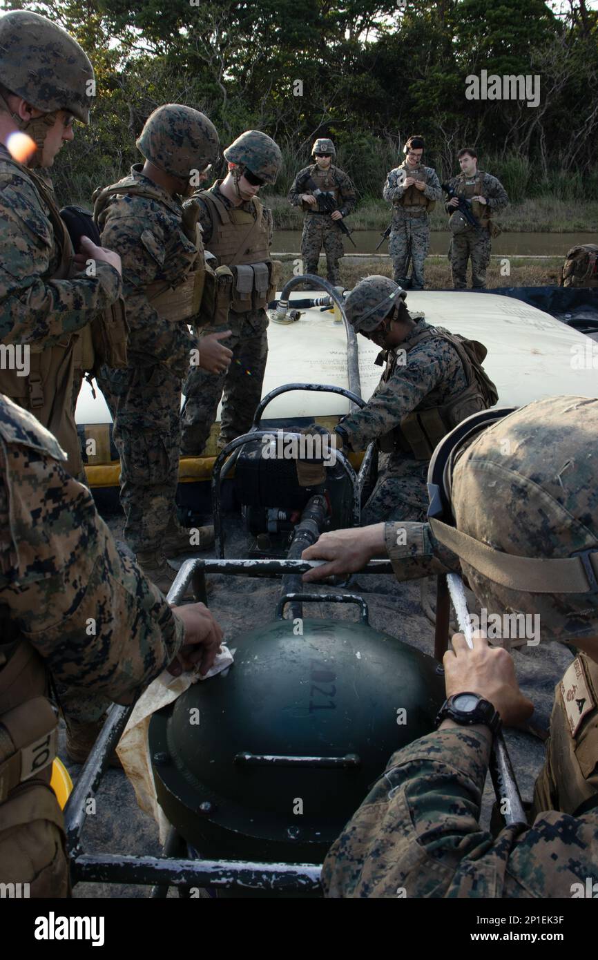U.S. Marines with Marine Medium Tiltrotor Squadron 262 (Rein.), 31st ...