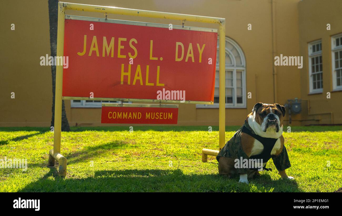 U.S Marine Corps Cpl. Manny, the mascot of Marine Corps Recruit Depot ...