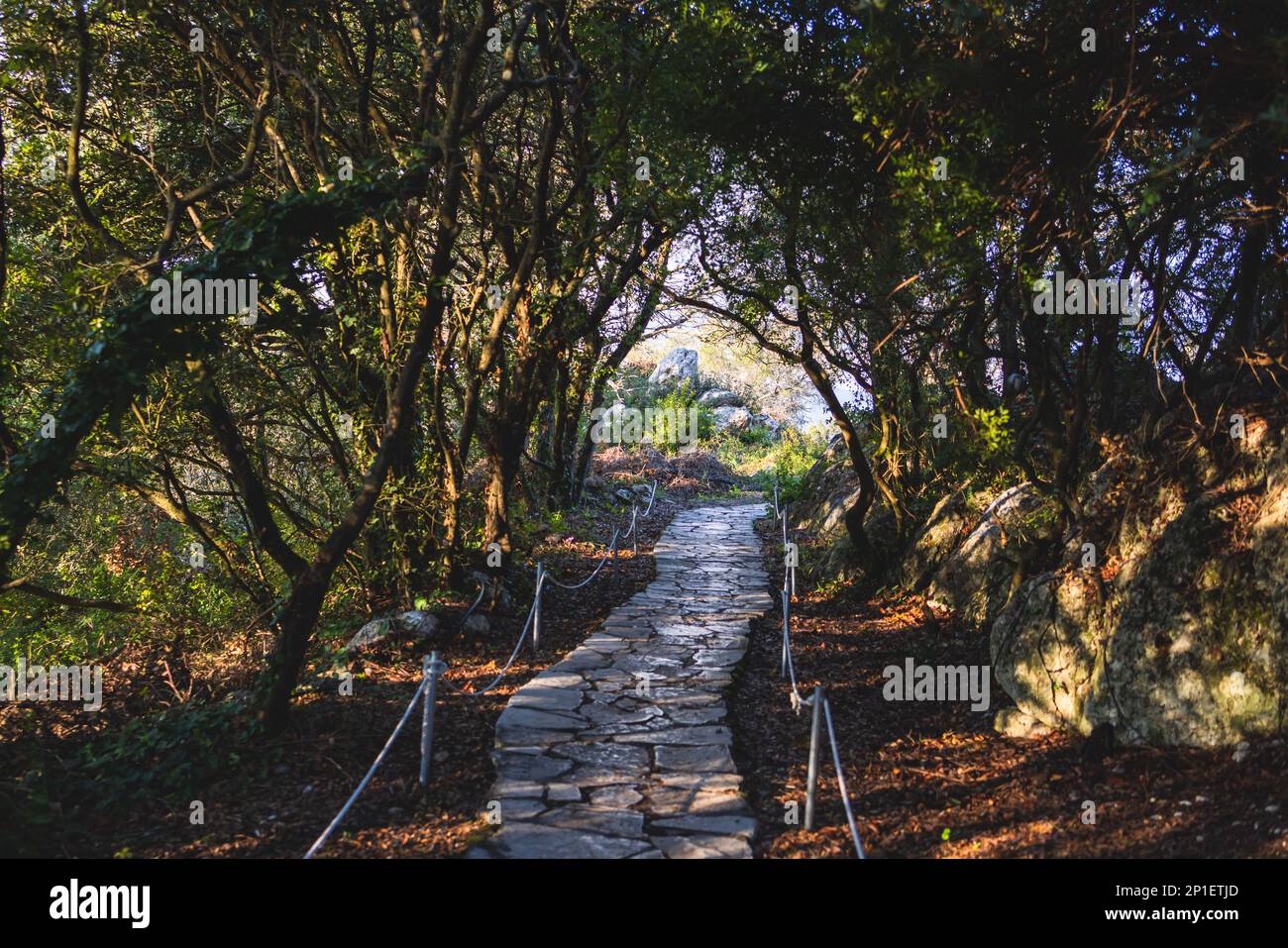 View of Kaiser's Throne observation deck lookout, Pelekas village ...