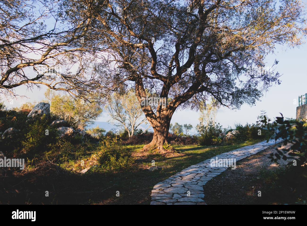 View of Kaiser's Throne observation deck lookout, Pelekas village ...