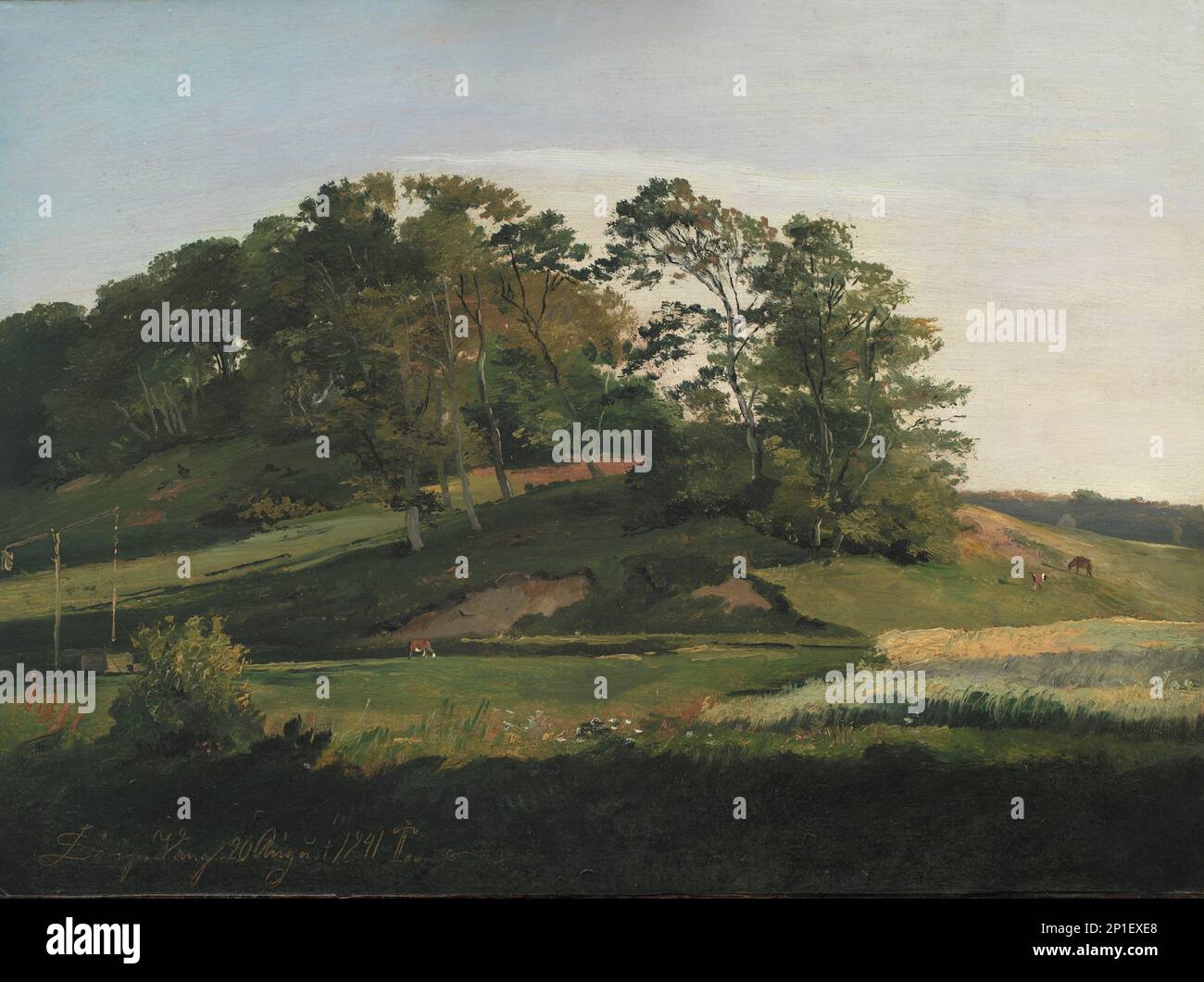 Dane hills hi-res stock photography and images - Alamy