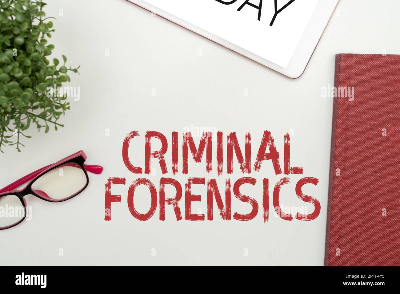 Writing displaying text Criminal Forensics. Business idea Federal ...