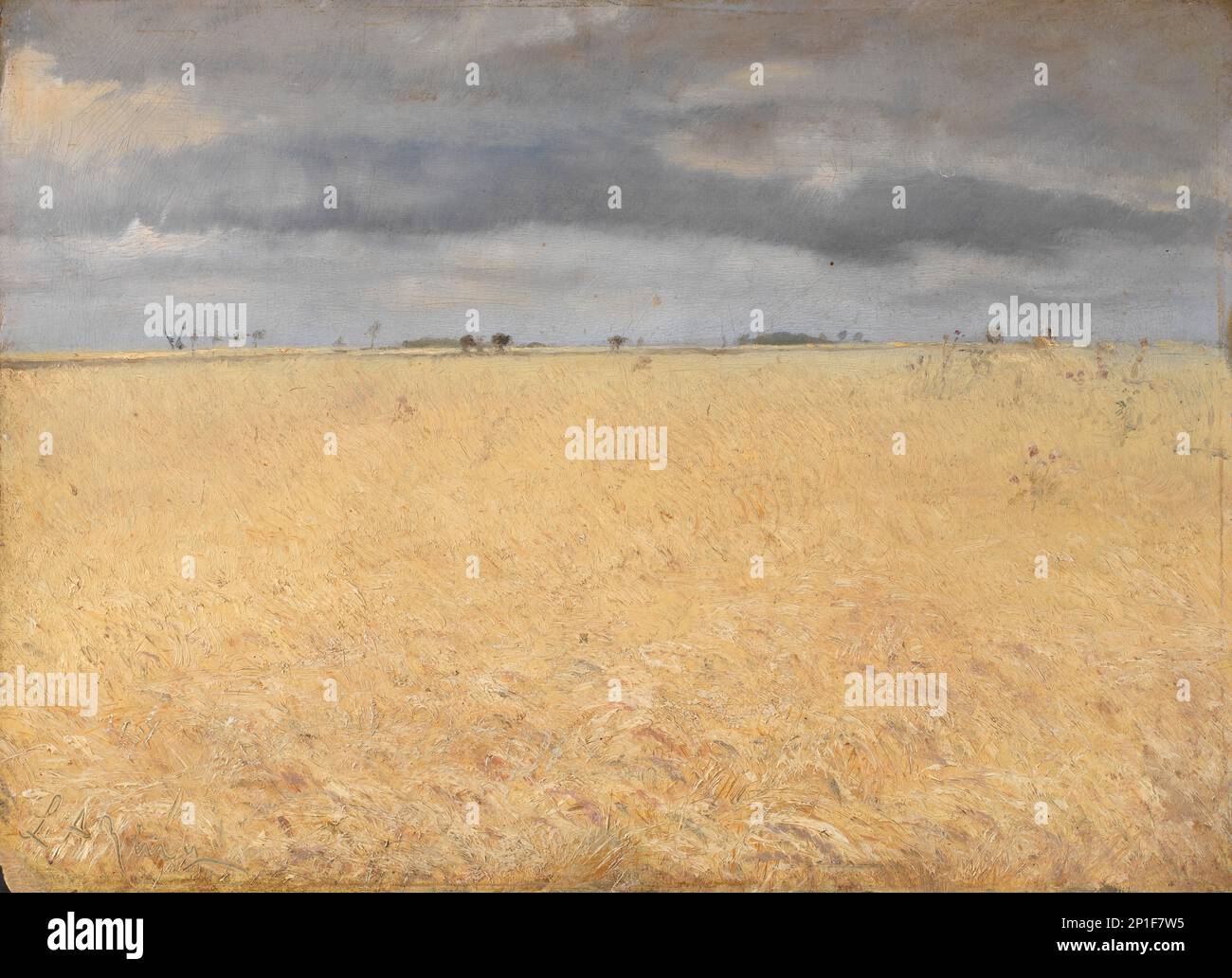 A Rye Field near Ring Village, 1887 Stock Photo - Alamy