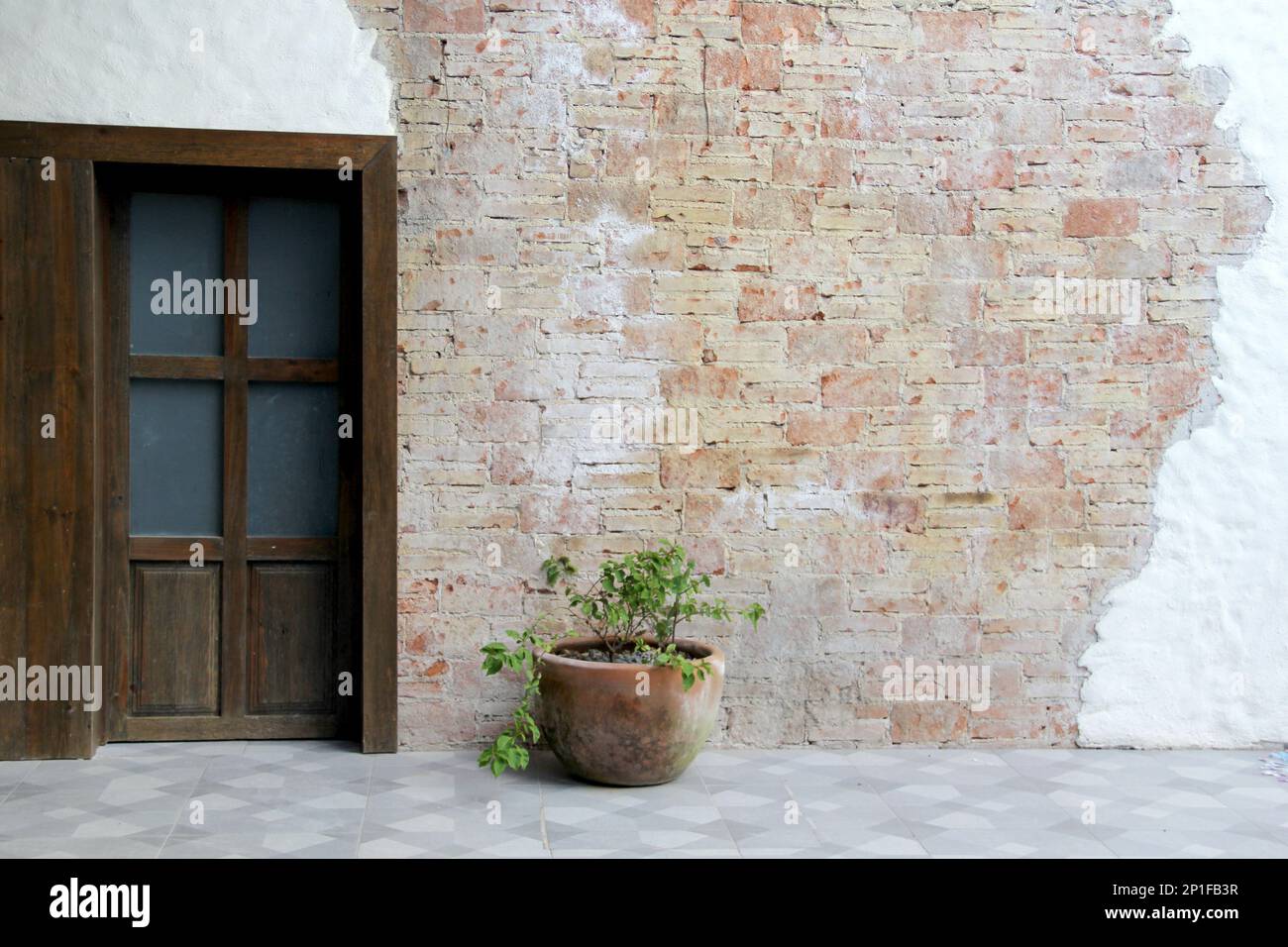 View of wooden door and rustic brick wall and plant in clay pot Stock ...