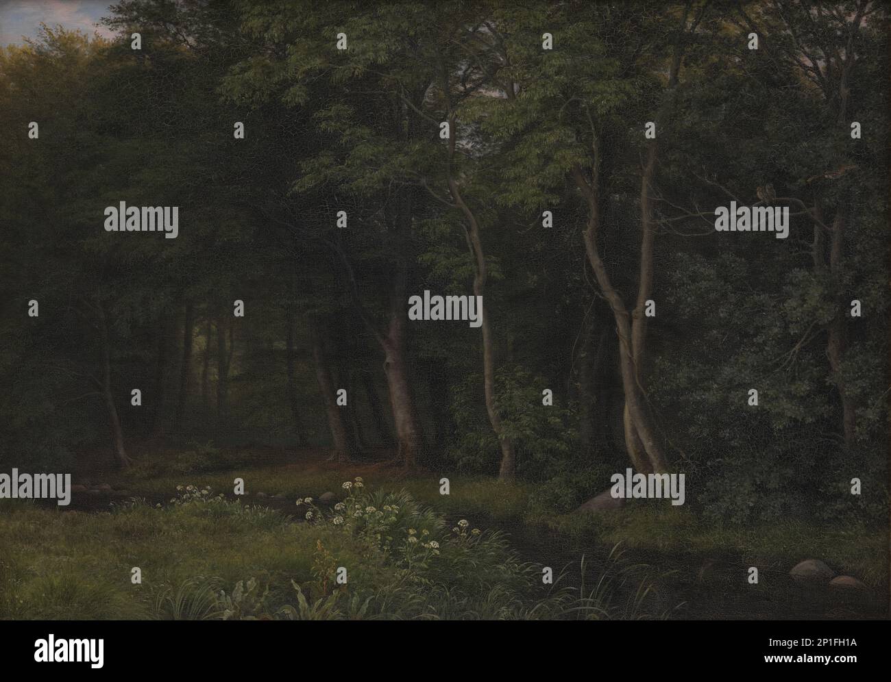 Twilight Setting in a Wood near Iselingen Manor, Zealand, 1860 Stock ...