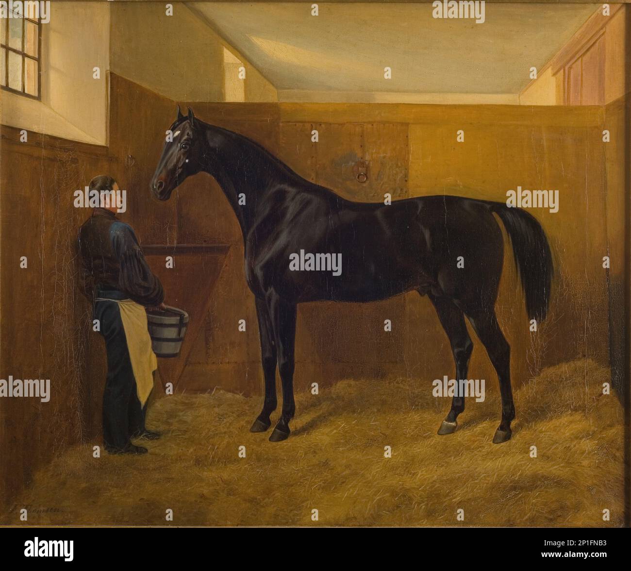 Zampa hi-res stock photography and images - Alamy