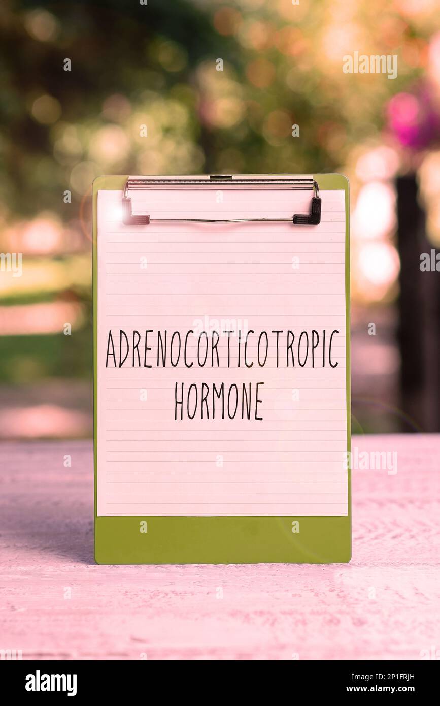 Handwriting text Adrenocorticotropic Hormone. Conceptual photo hormone ...