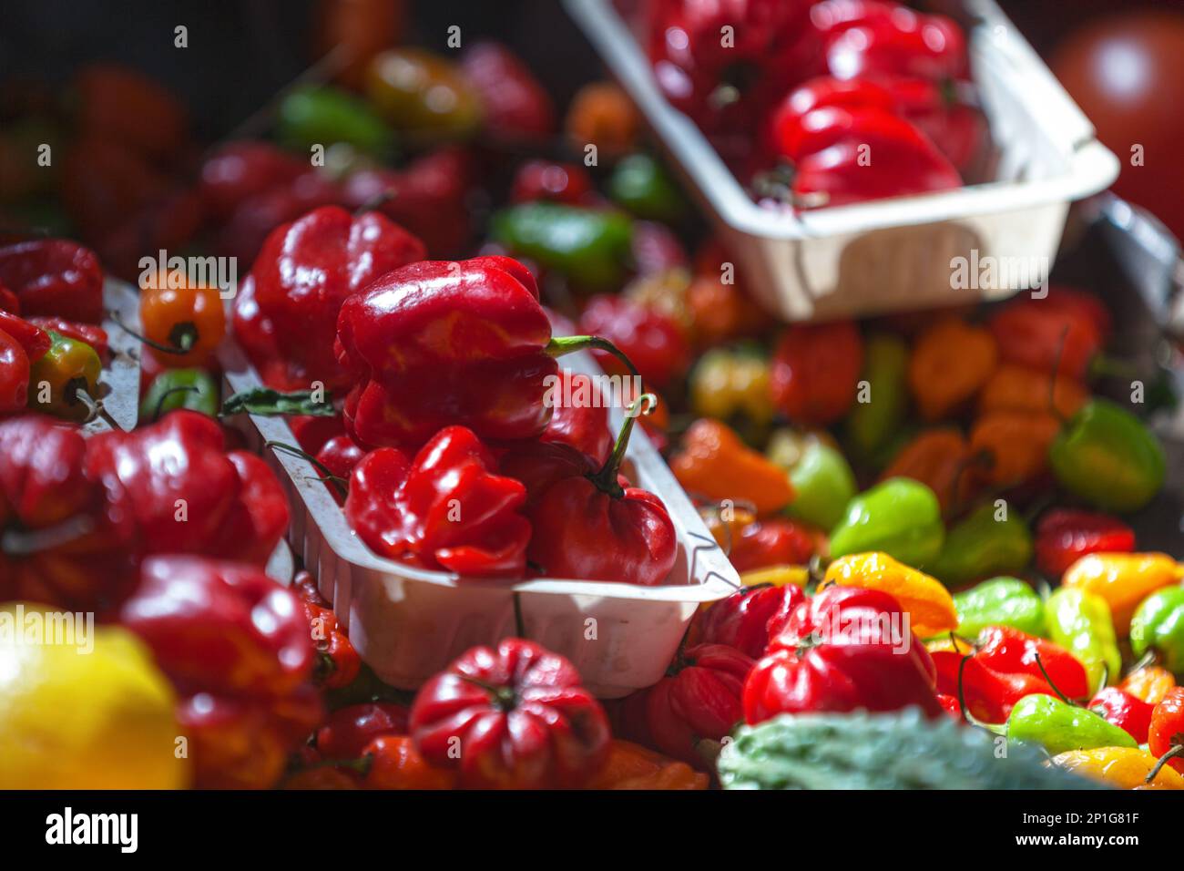 Close-up on a stack of Piment cabri (same family as Habanero) for sale ...