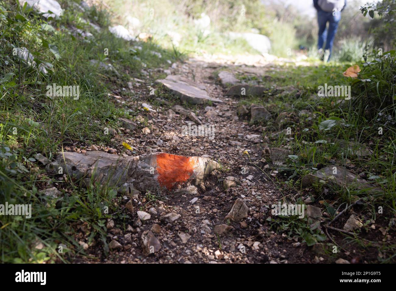 View of Erimitis coast landscape near Kassiopi and Agios Stefanos ...