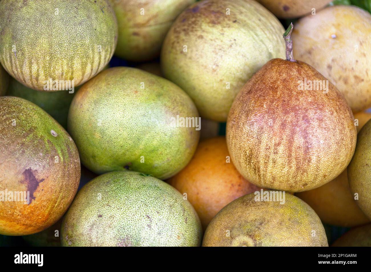 Close-up on a stack of pomelos on a market stall Stock Photo - Alamy
