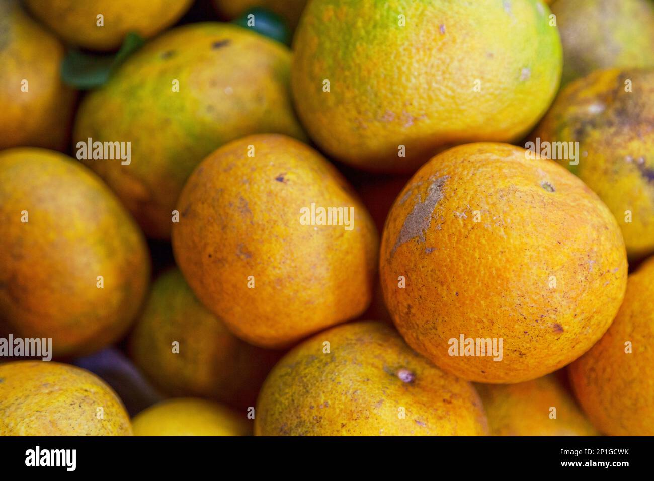 Full frame close-up on a stack of Pomelo (Citrus maxima) on a market ...