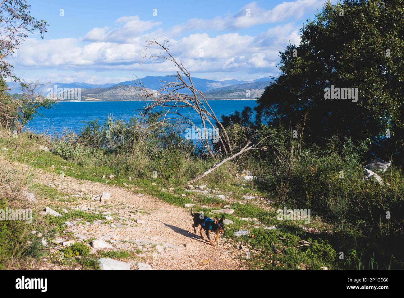 View of Erimitis coast landscape near Kassiopi and Agios Stefanos ...