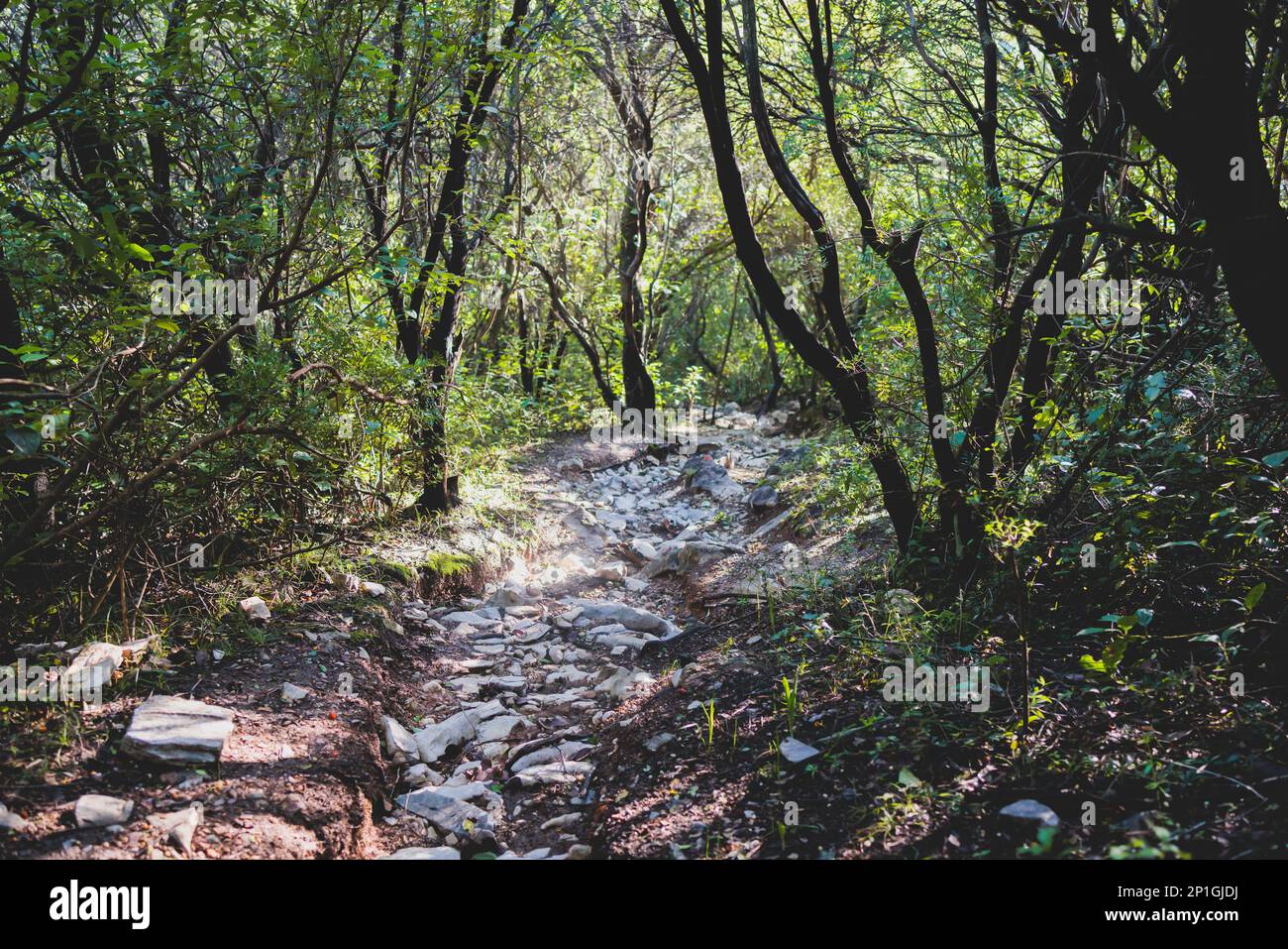 View of Erimitis coast landscape near Kassiopi and Agios Stefanos ...