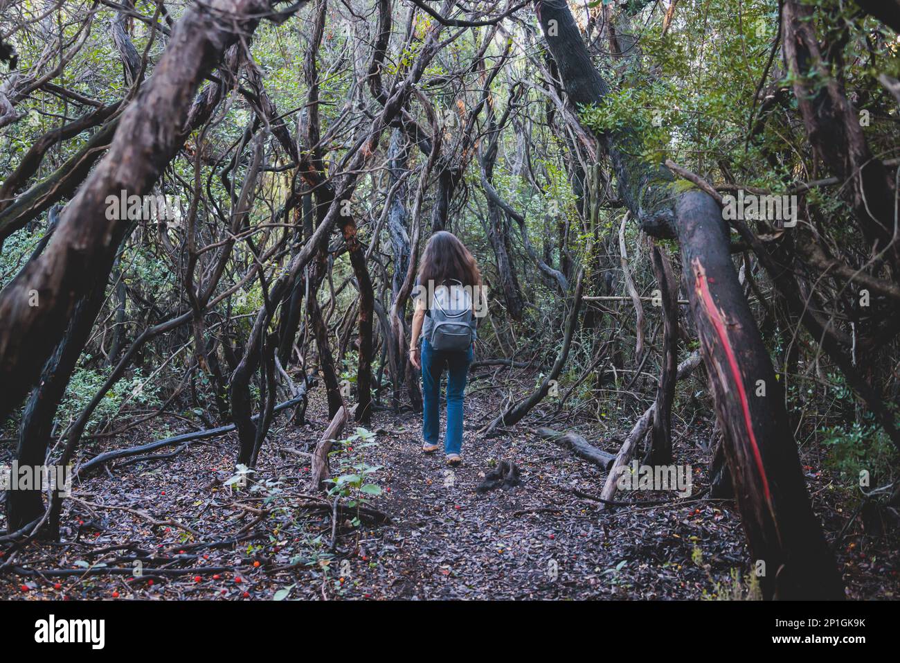 View of Erimitis coast landscape near Kassiopi and Agios Stefanos ...