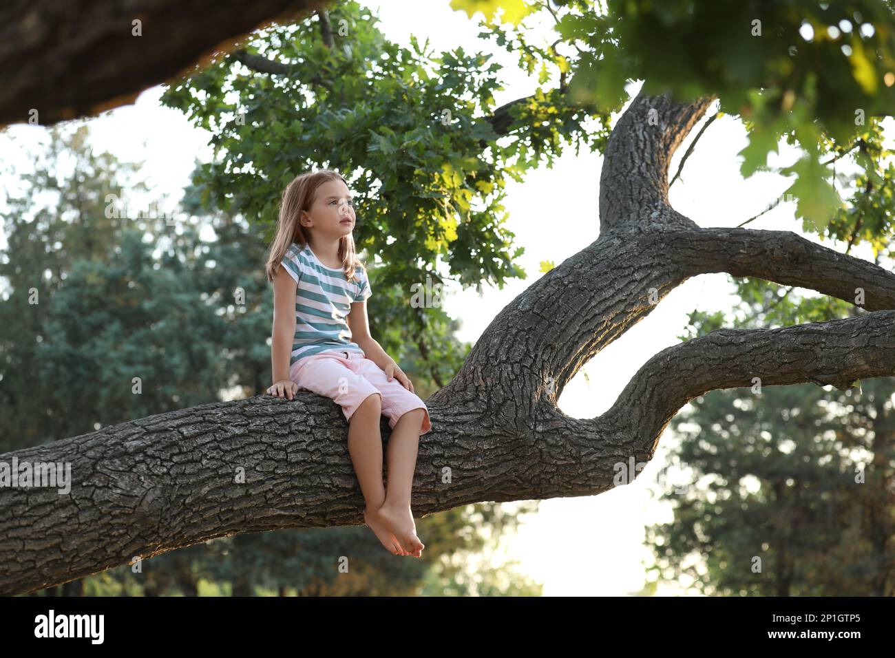 Cute little girl sitting on tree outdoors. Child spending time in ...