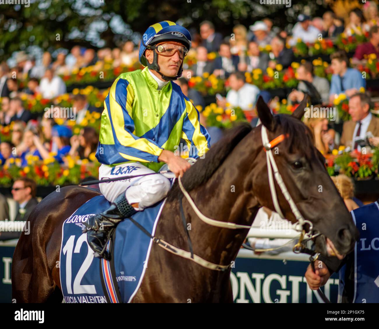 April 09, 2016: 'Lucia Valentina' (12) and jockey Damien Oliver pictued ...