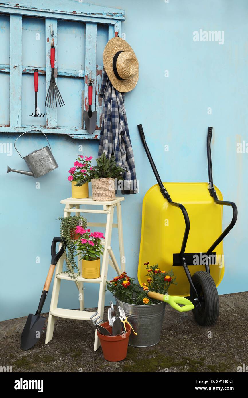 Beautiful plants, gardening tools and accessories near shed outdoors ...