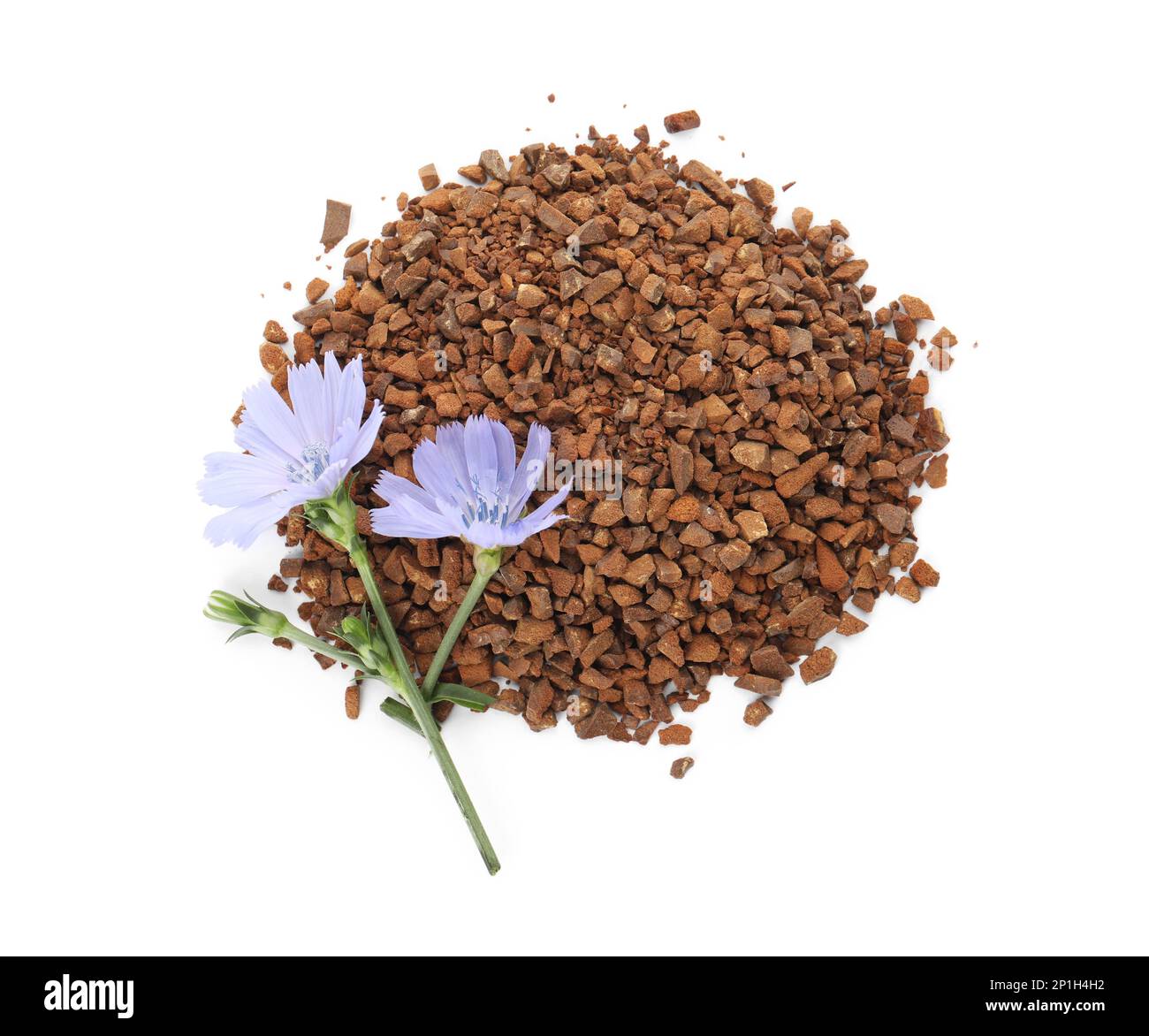 Pile of chicory granules and flowers on white background, top view ...