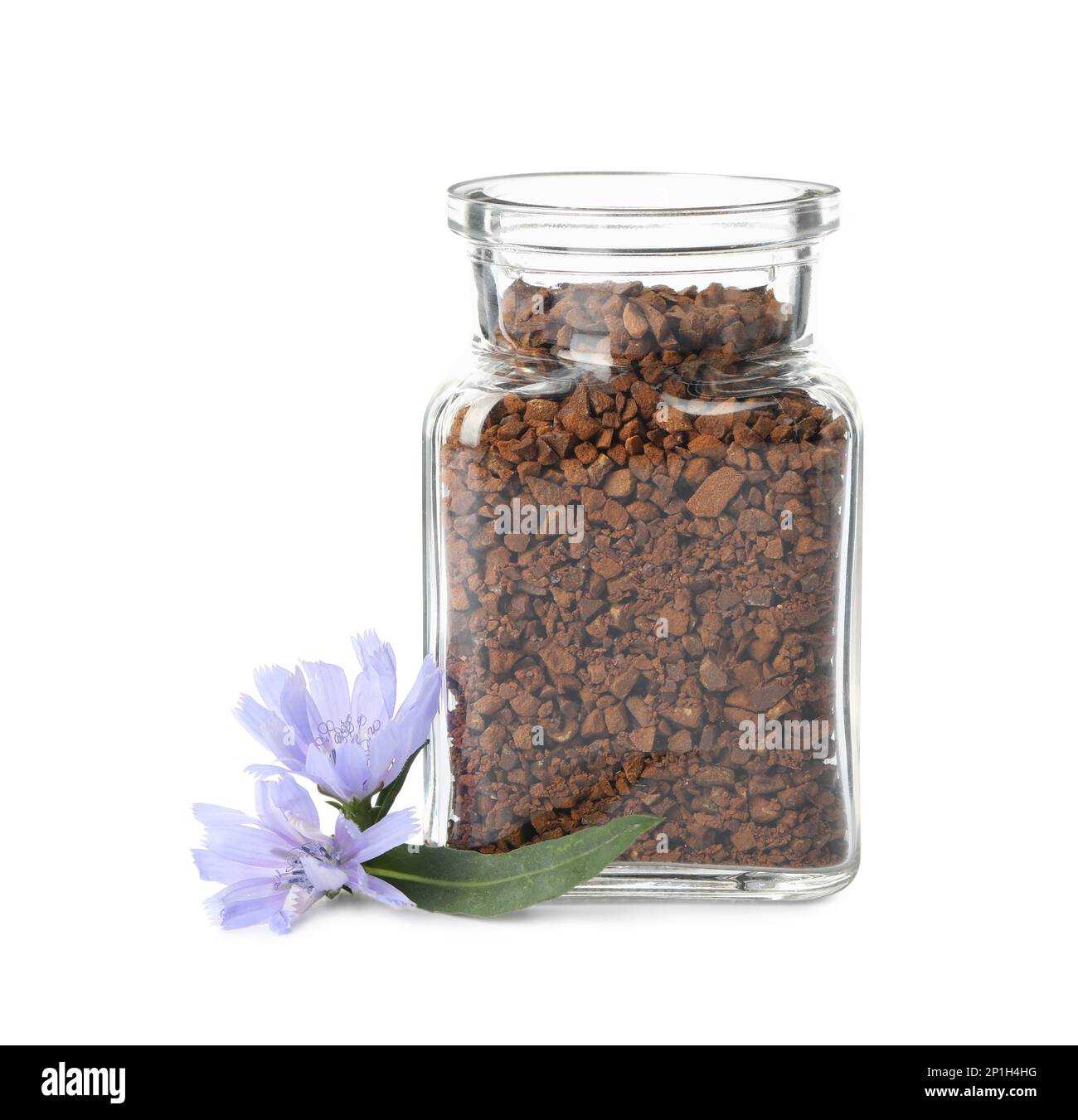 Jar of chicory granules and flowers on white background Stock Photo - Alamy