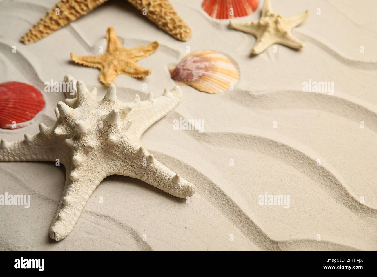 Beautiful sea stars and shells on sand, closeup Stock Photo - Alamy