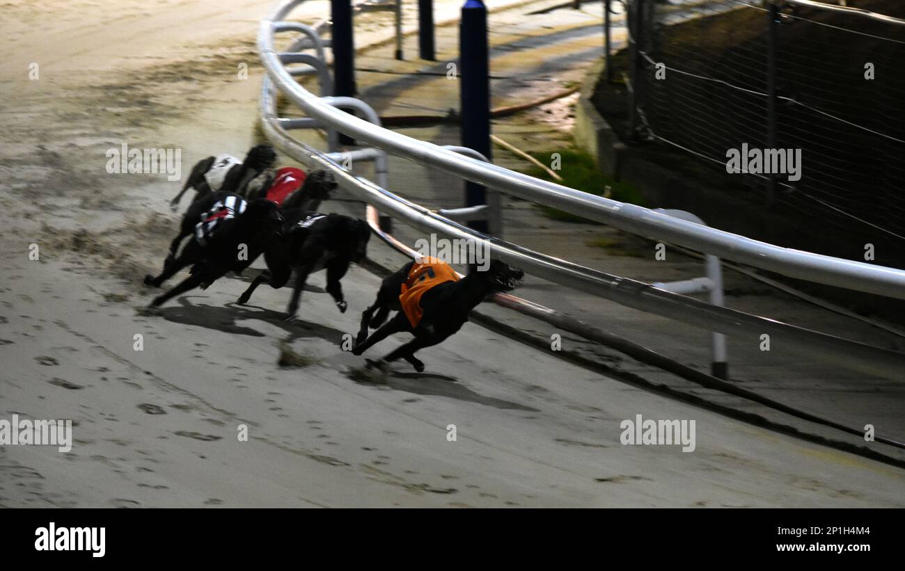 Droopys ambush hi-res stock photography and images - Alamy