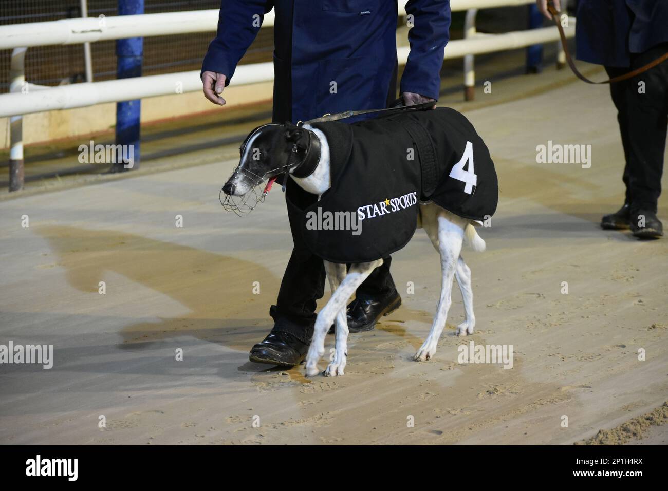 Droopys jungle hi-res stock photography and images - Alamy