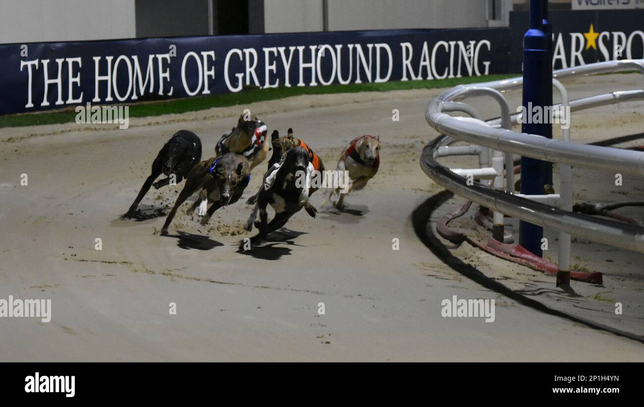Trainer magical hi-res stock photography and images - Alamy
