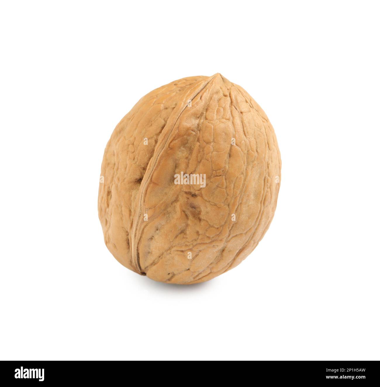 Whole walnut in shell isolated on white Stock Photo - Alamy
