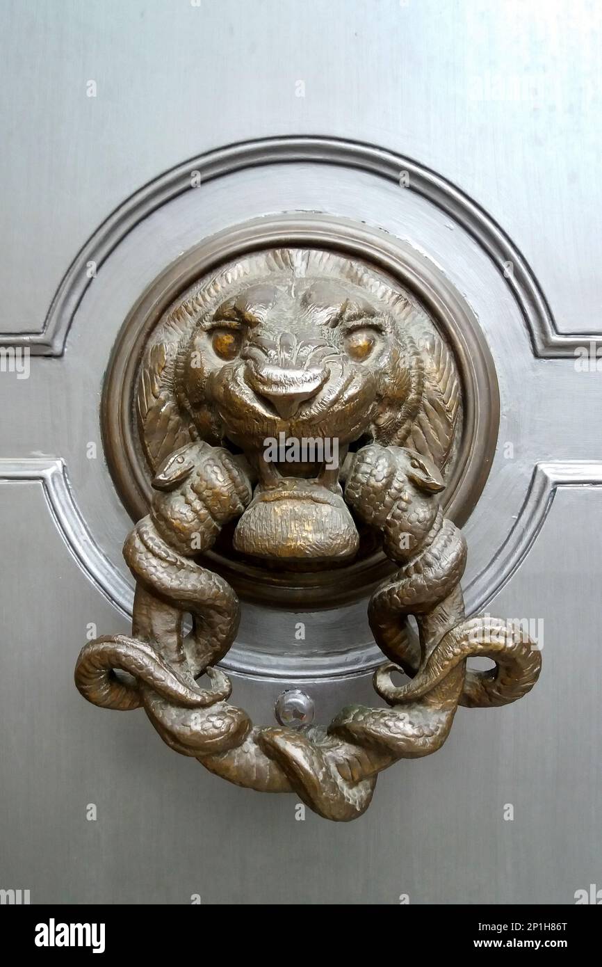 Lion snakes hi-res stock photography and images - Alamy