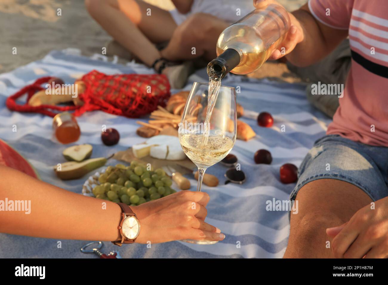 Group people having healthy picnic hi-res stock photography and images ...