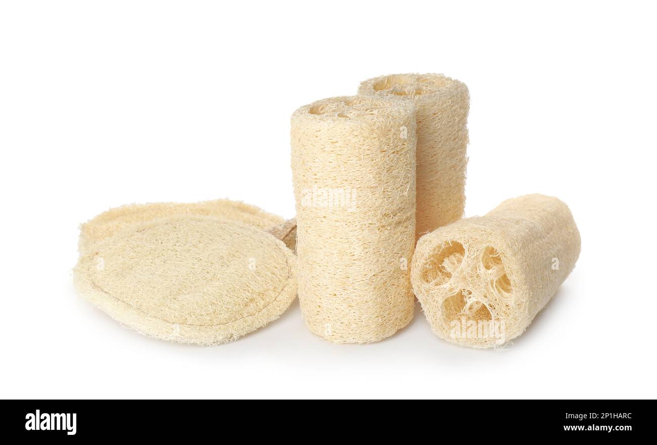Different natural loofah sponges isolated on white Stock Photo - Alamy