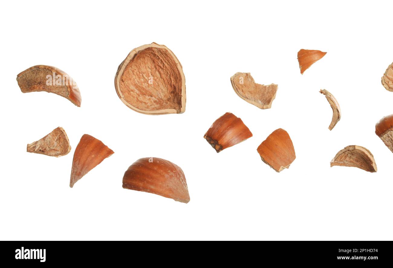 cracked hazelnut with parts of the shell on white background Stock ...
