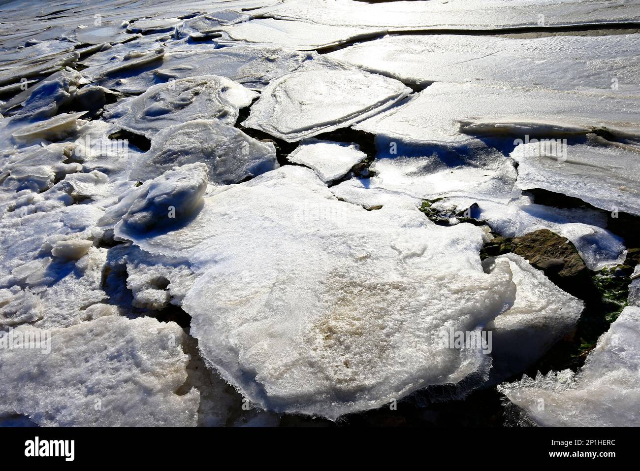 The winter sea ice Stock Photo - Alamy